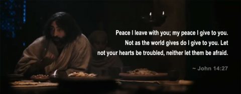 May 25 - Daily Bible Reading